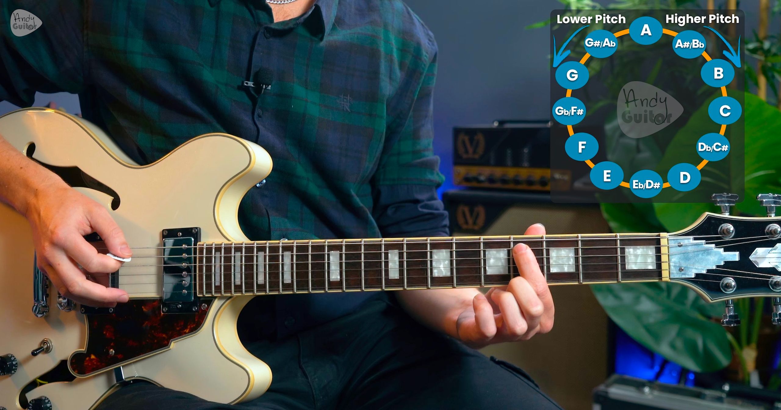 Musical Notes & the Note Circle | Andy Guitar